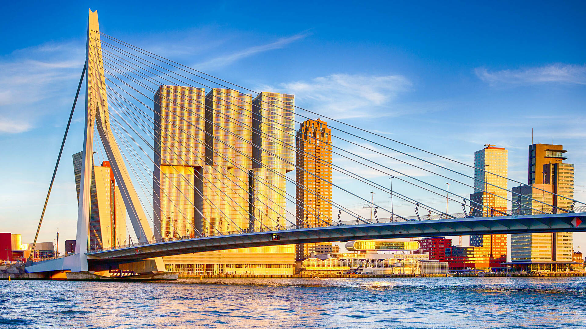 Things To Do in Rotterdam | 13 Must-See Attractions