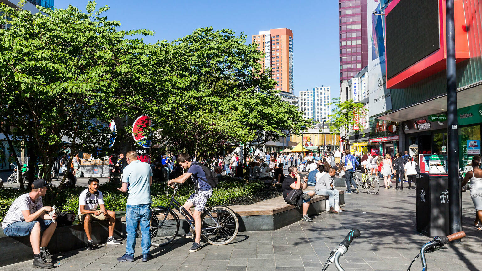 Things To Do in Rotterdam | 13 Must-See Attractions