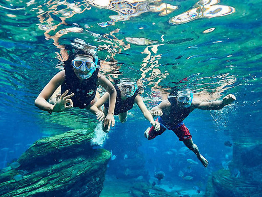 Things to do in Durban | 24 Must-See Sights and Attractions