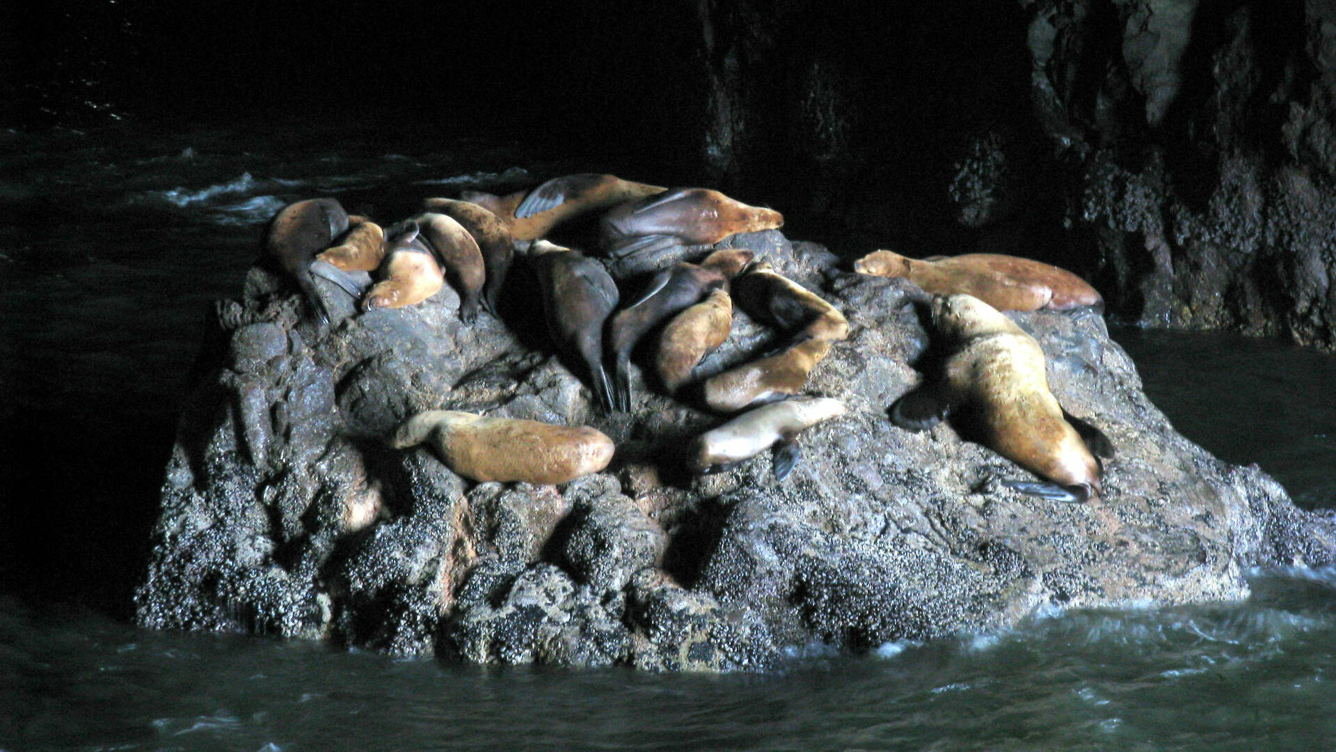 Things To Do in Oregon | 14 Essential Attractions and Activities