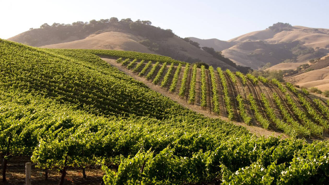 11 Best Things to Do in San Luis Obispo Right Now