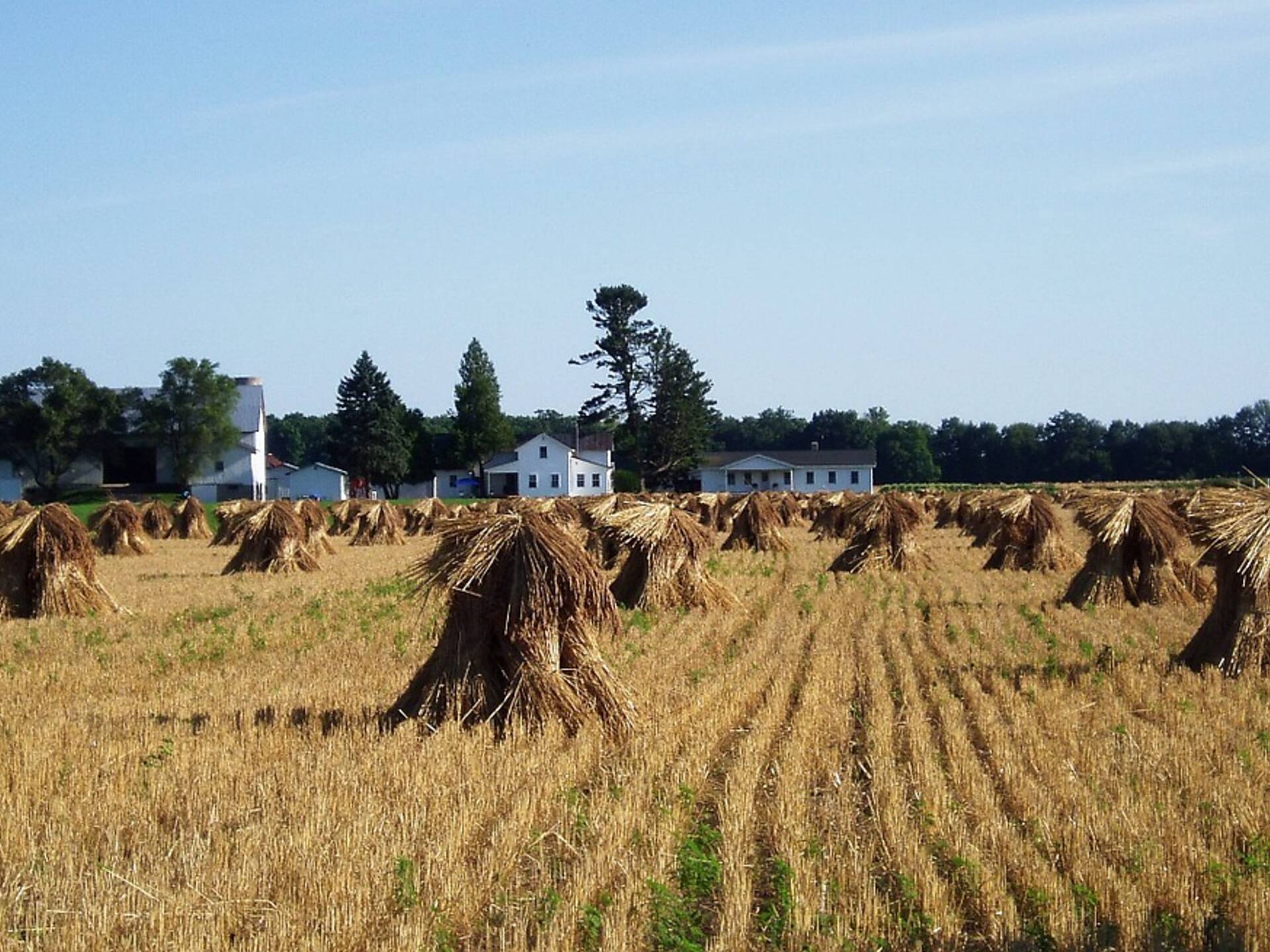 Things to do in Ohio | 14 Awesome Actives and Attractions