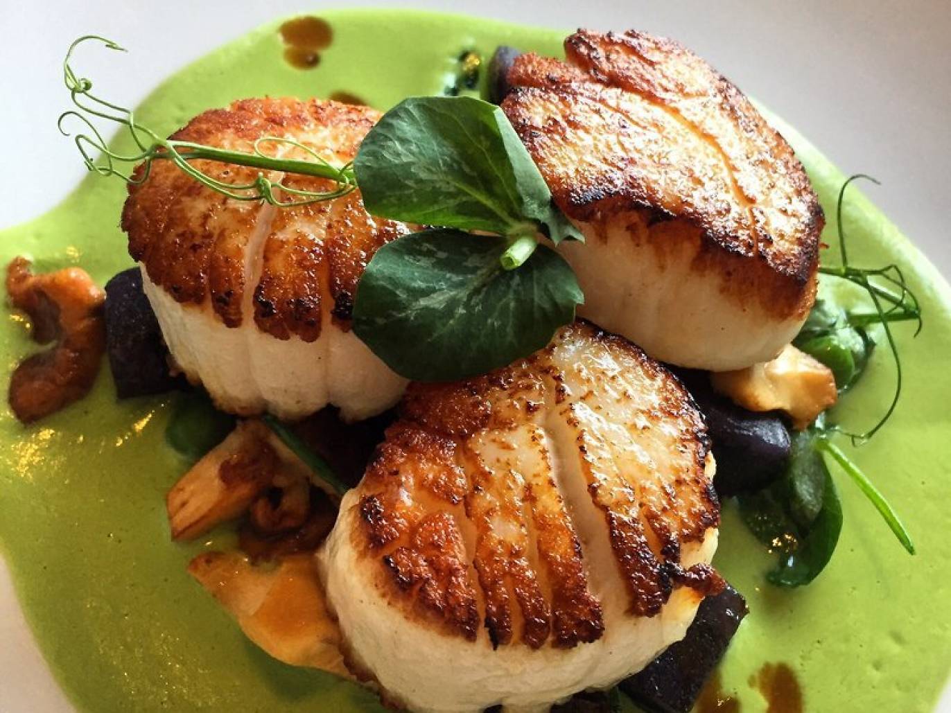 12 Best Restaurants in Newport for Seafood and More