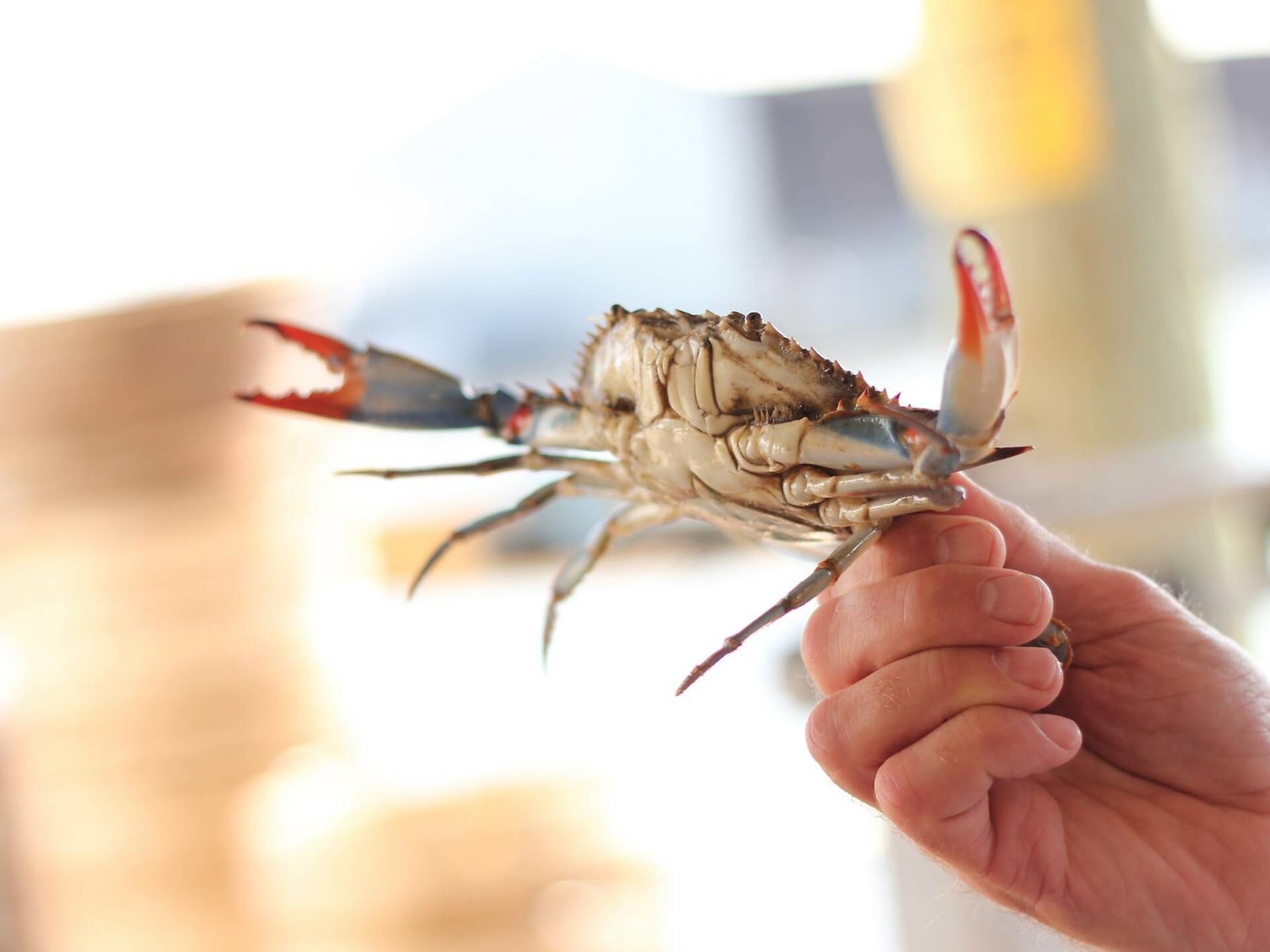 Things to Do in Maryland | 14 Top Attractions and Activities