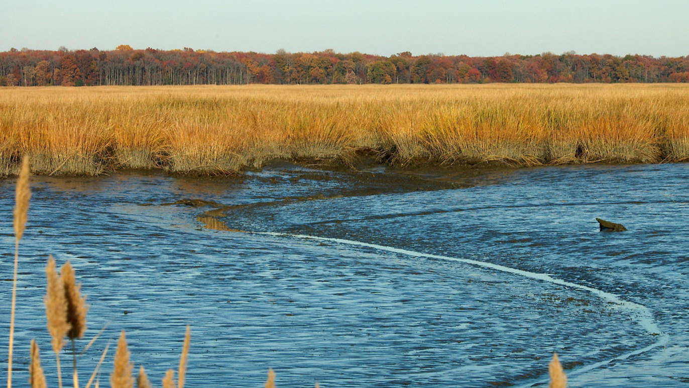 Things to Do in Delaware | 15 Top Attractions and Activities