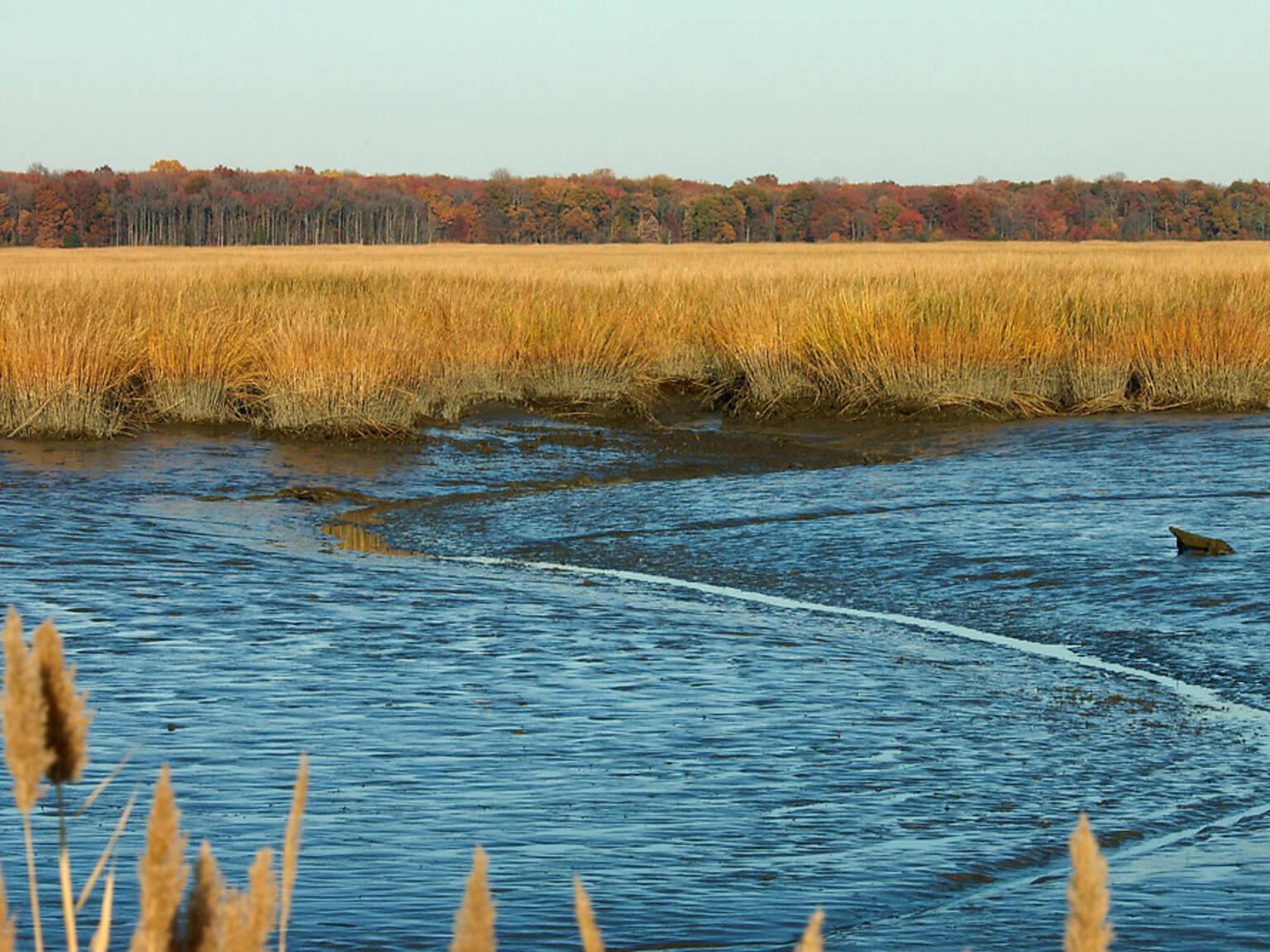 Things to Do in Delaware | 15 Top Attractions and Activities