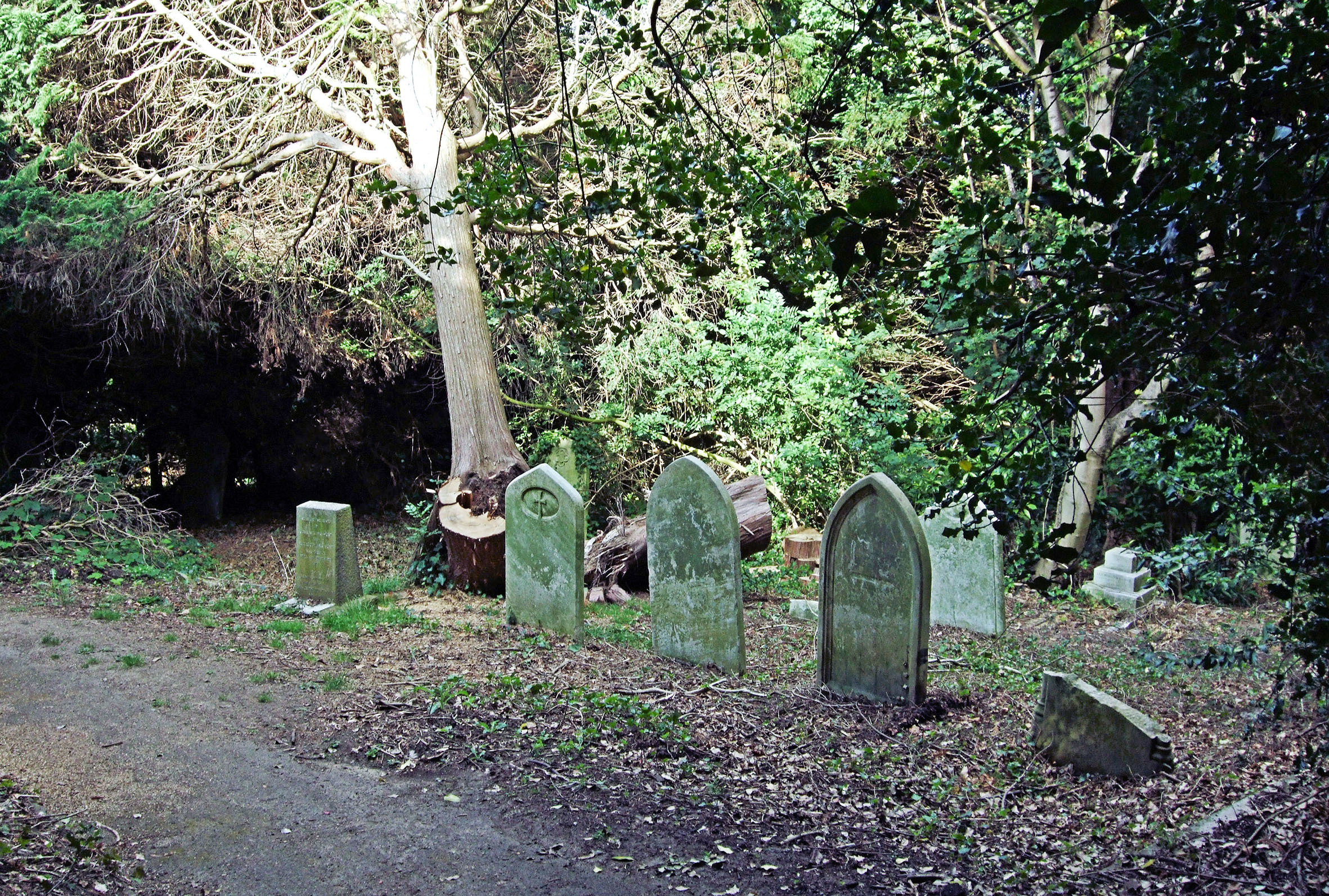 St Mary's Churchyard | Attractions in Harrow, London
