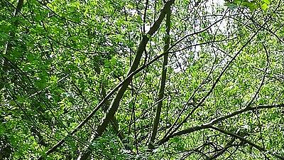 13 Best Things To Do in Reading Right Now