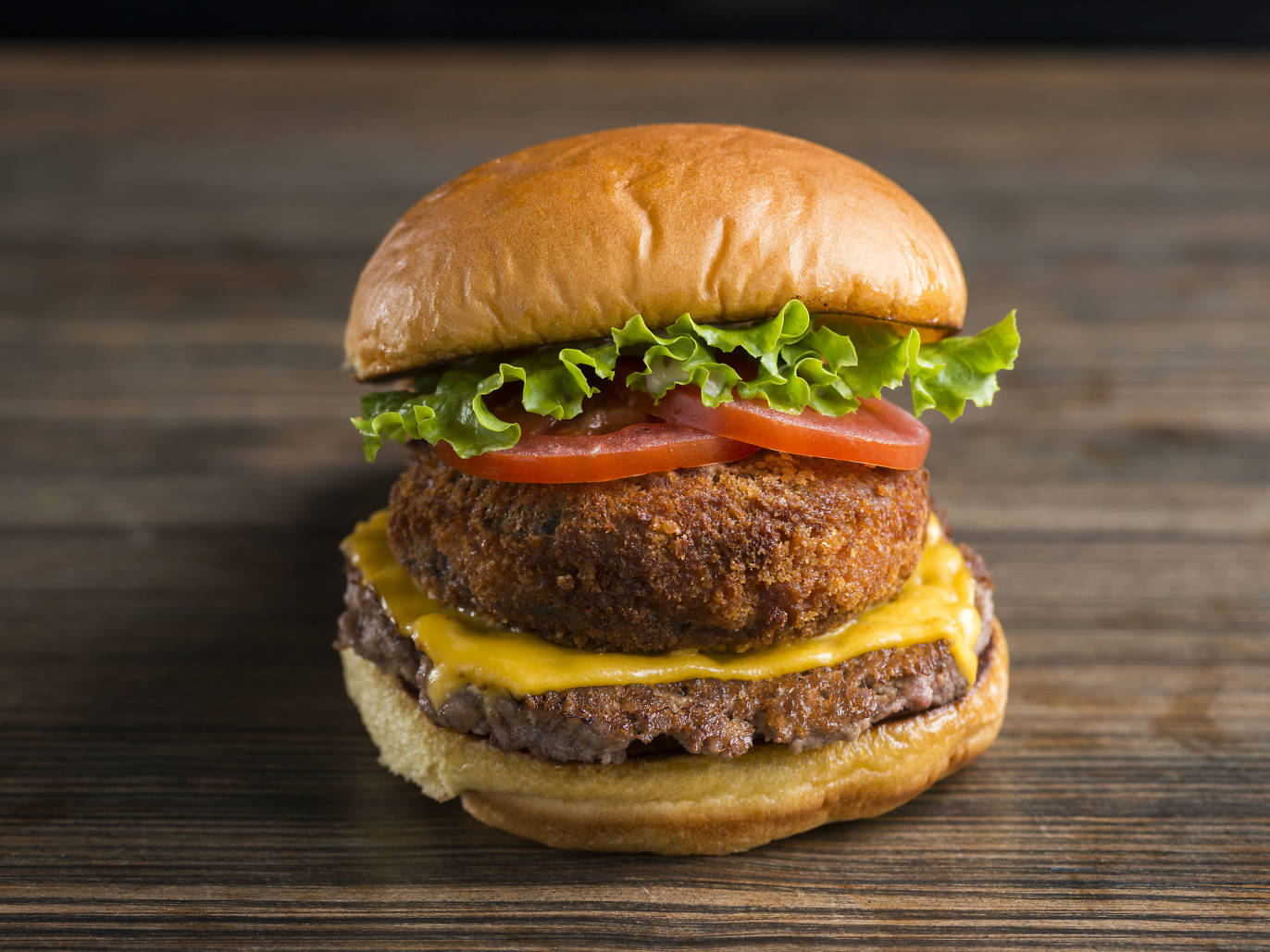 Every Shake Shack Menu Item Ranked