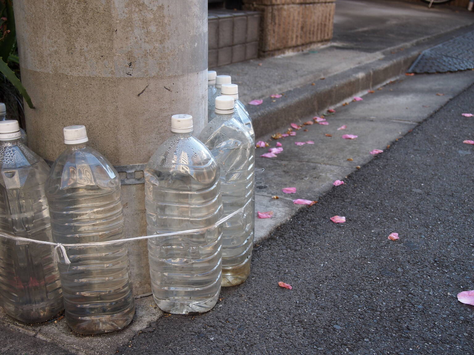 Tokyo Q&A: Why do so many Japanese people wear masks? | Time Out Tokyo