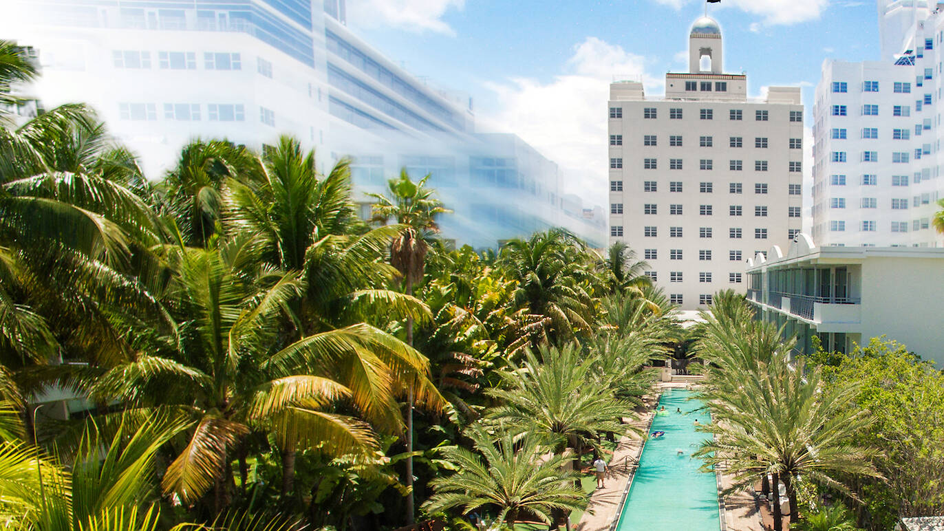 19 Best Swimming Pools in Miami to Sunbathe, Sip, Splash and Party
