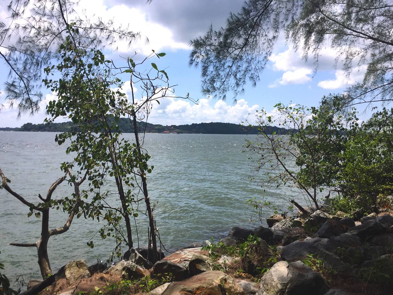 Hiking in Singapore: 18 Amazing Walking Trails For Trekkers To Try