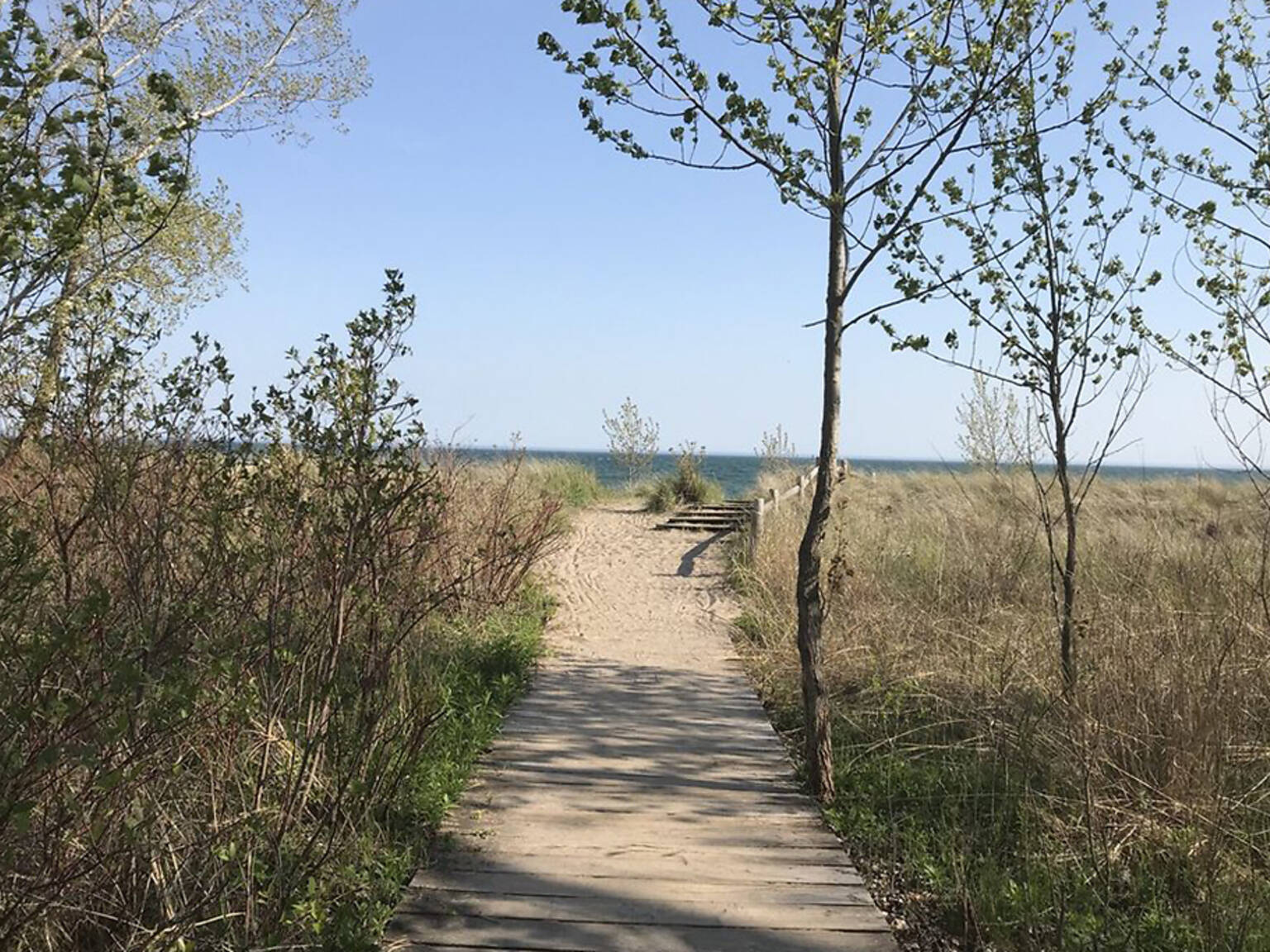 10 Best Beaches in Toronto Meet Eco-Friendly Standards