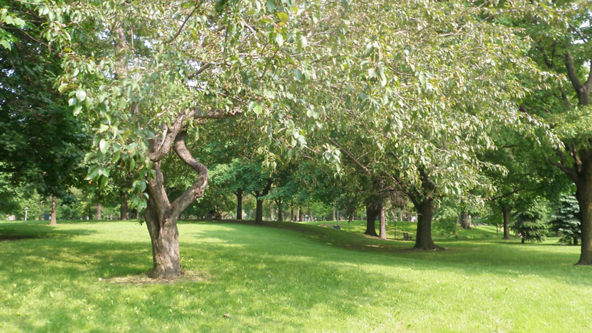 10 Best Parks in Toronto Provide Respite From Urban Life