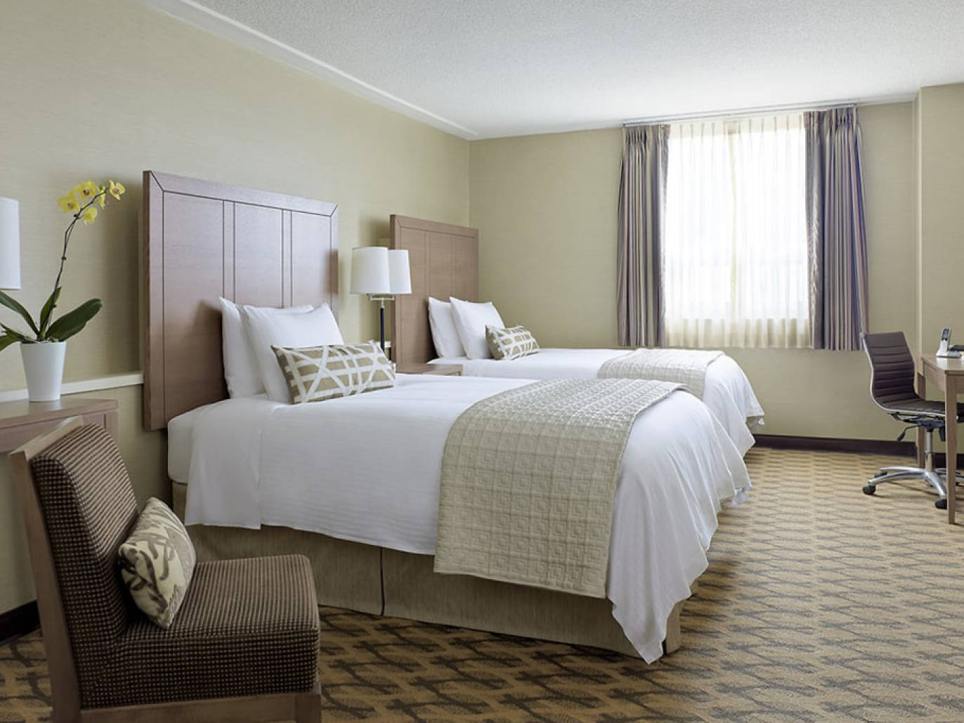 12 Best Hotels in Toronto for a Great Night's Sleep