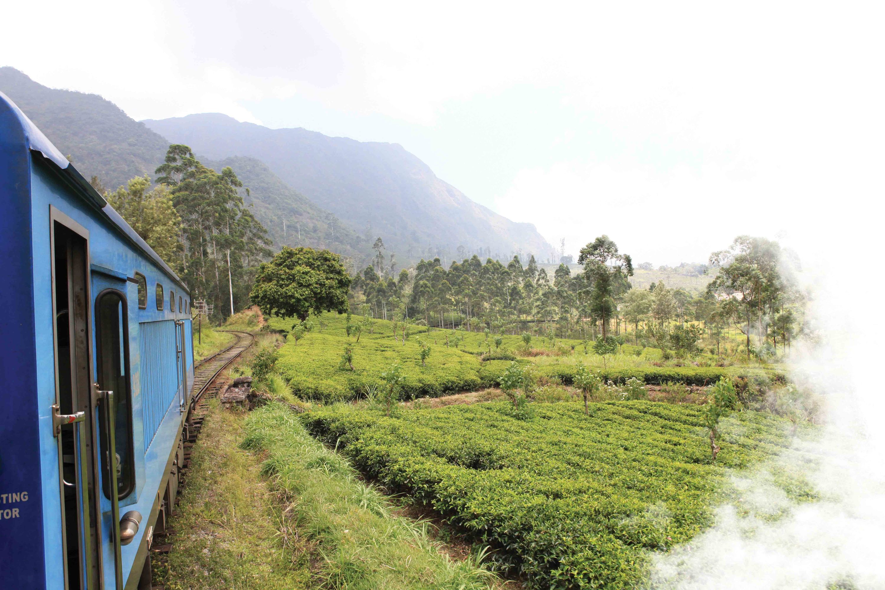 Discover the island on a train – the best views around the country