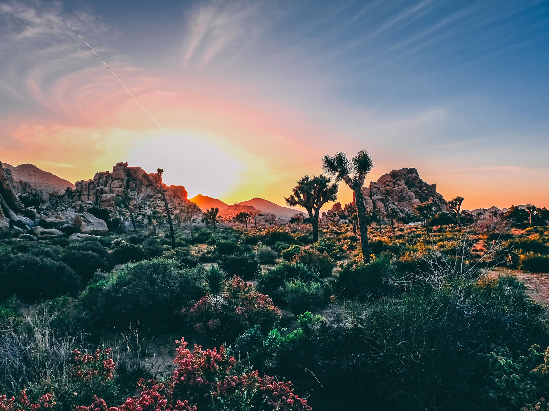 15 Best Places to Visit in California Right Now