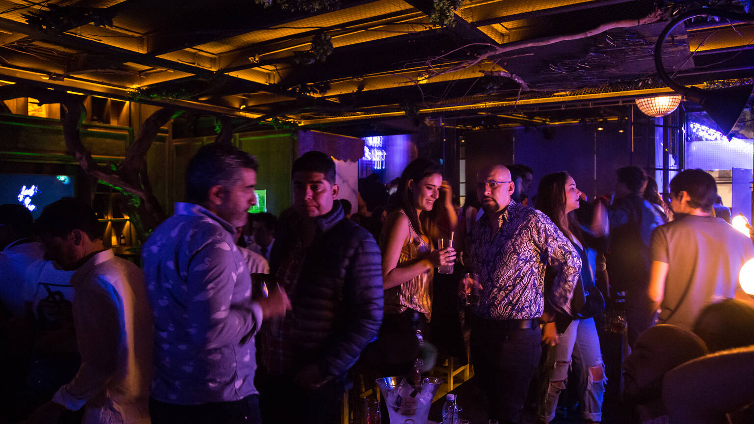 Bar Panic Botanic Masaryk en Polanco