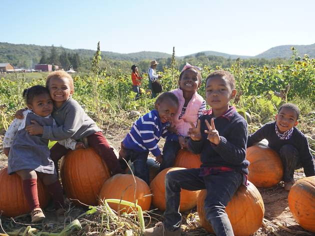 Fishkill Farms | Attractions in Midtown West, New York Kids