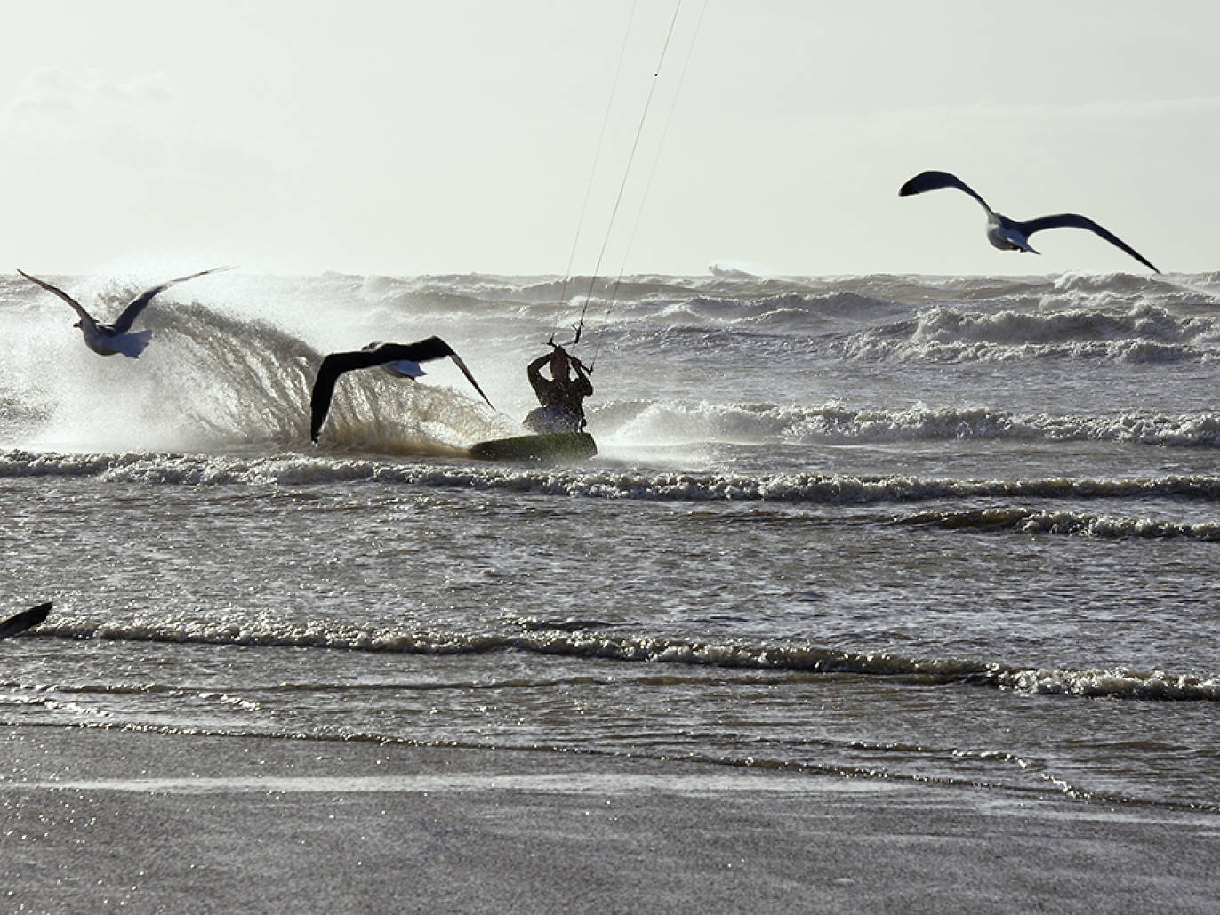 9 Best Beaches in Amsterdam Right Now