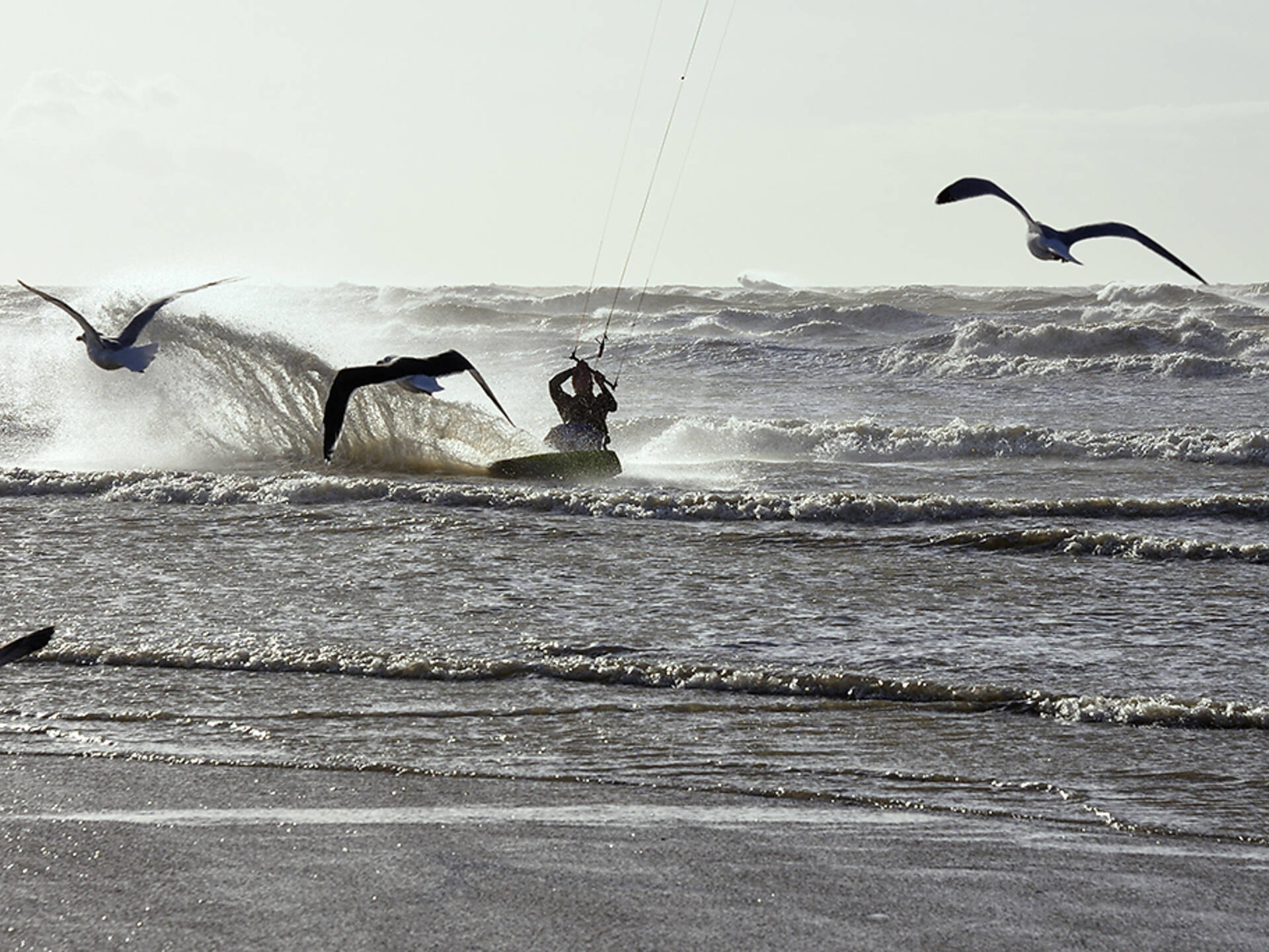 9 Best Beaches in Amsterdam Right Now