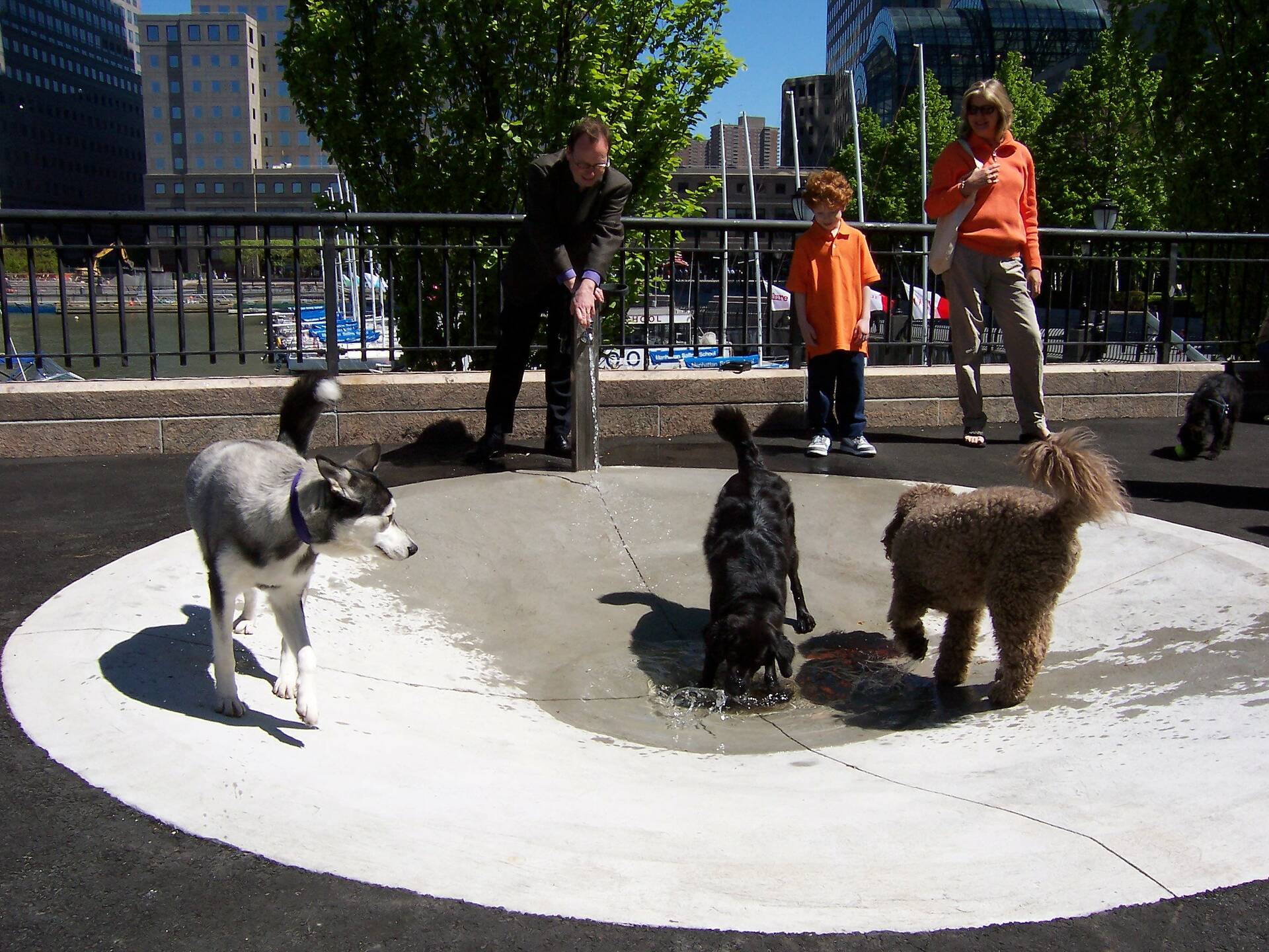 17 Best Dog Parks in New York City