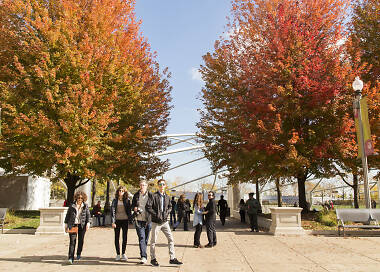 21 Best Places to See Fall Foliage in Chicago in 2022