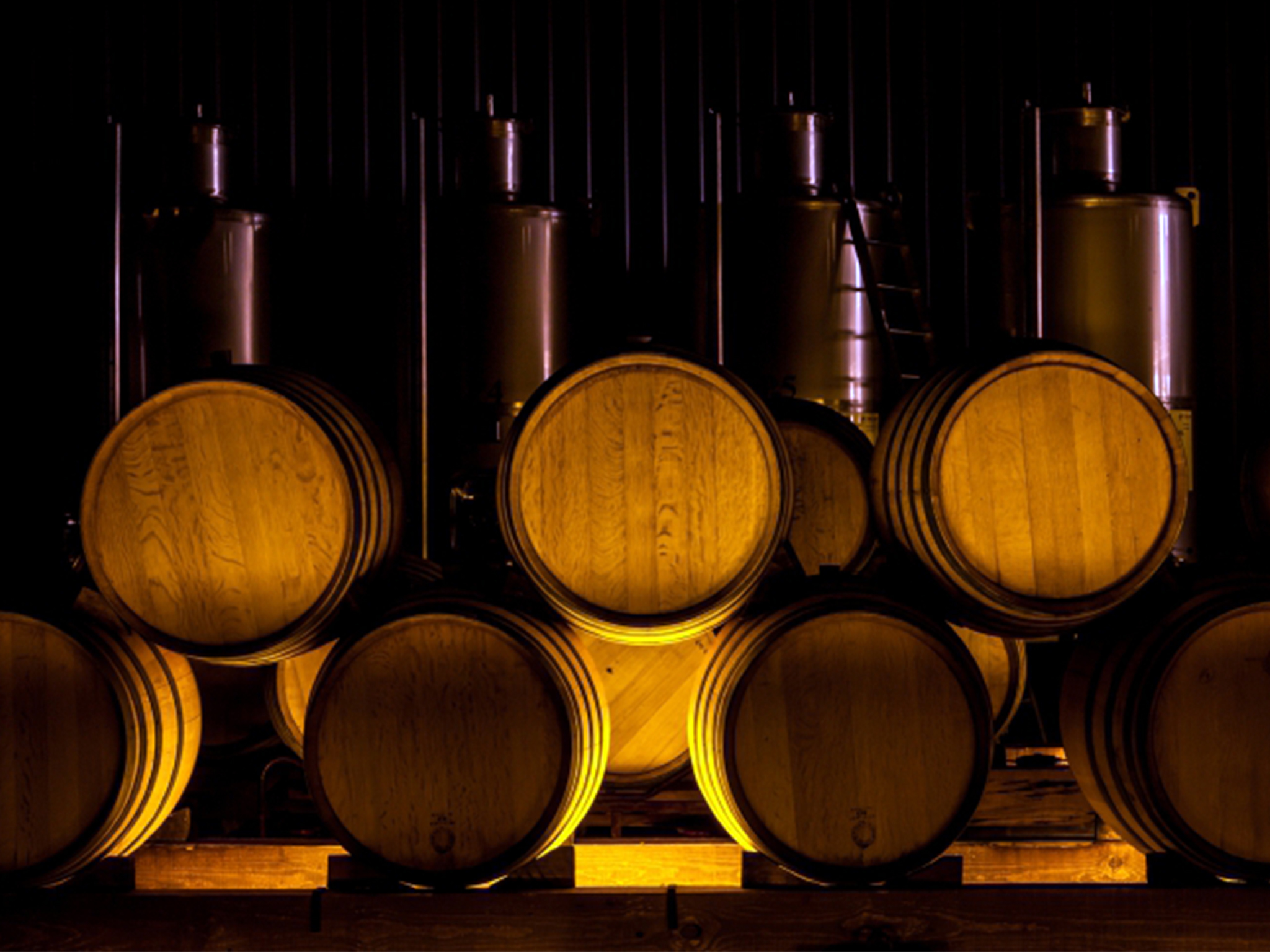 Falua - Enotourism in Lisbon surroundings