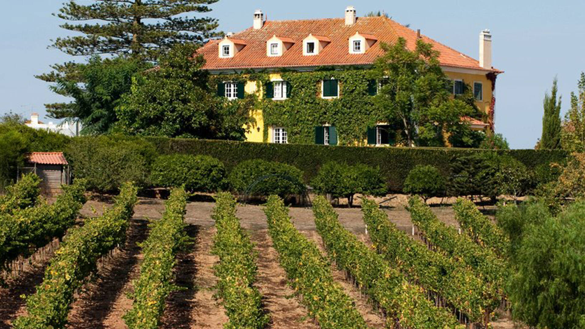 Quinta de Sant’ana - Enotourism in Lisbon surroundings