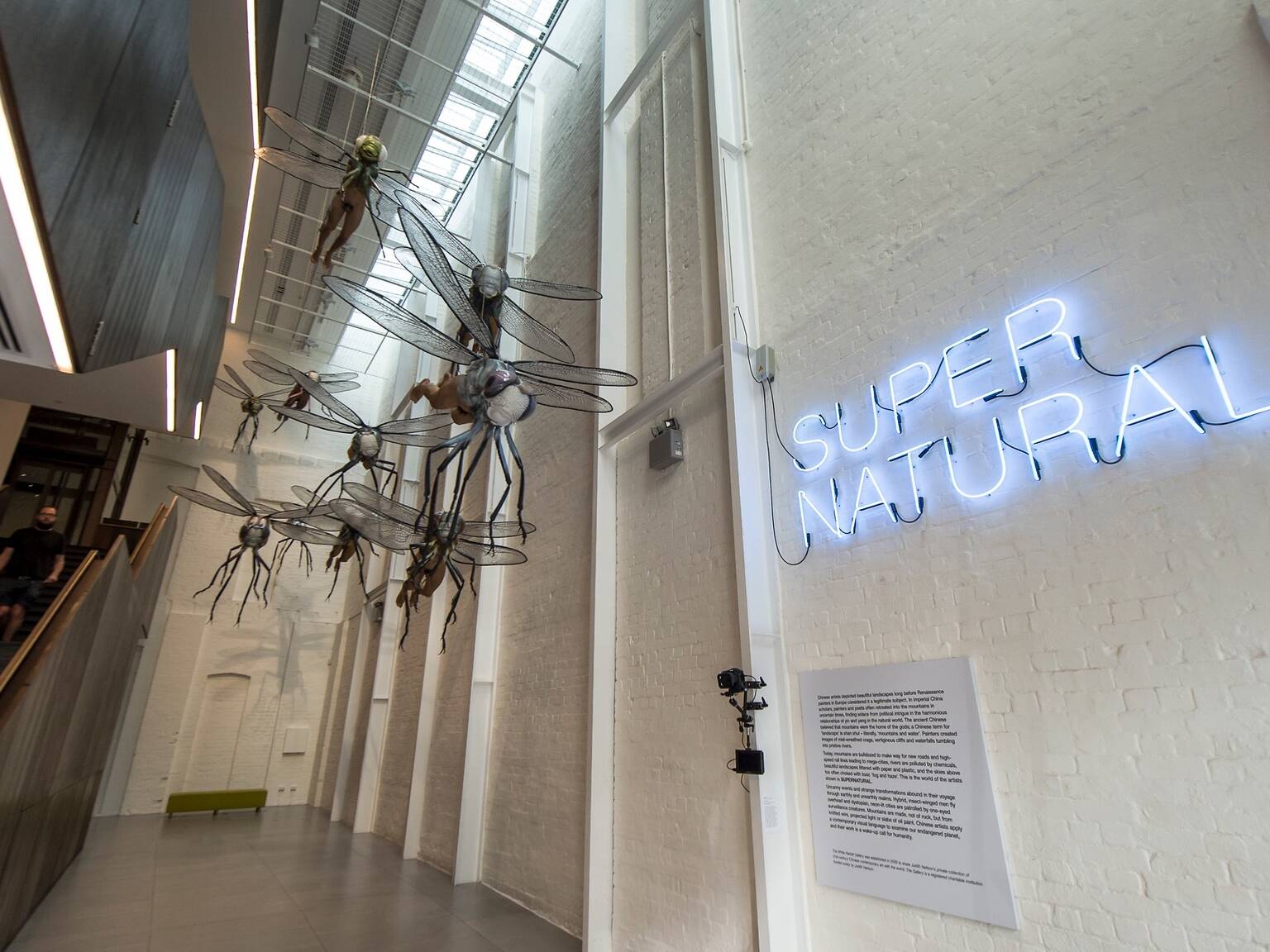 Chippendale Area Guide