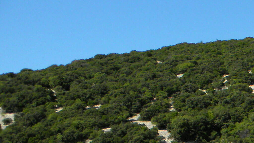 20 great things to do on Cres island | Things to do | Time Out Croatia