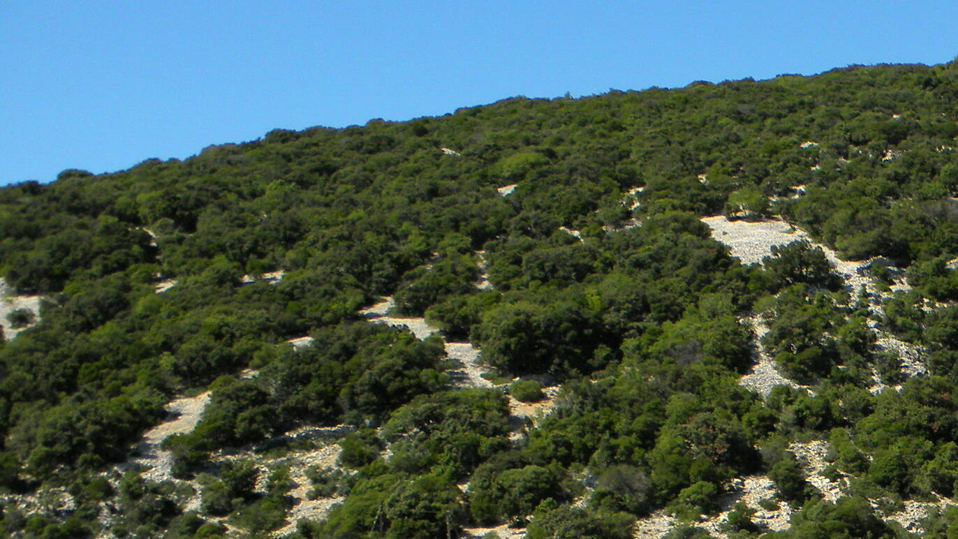 20 great things to do on Cres island | Things to do | Time Out Croatia