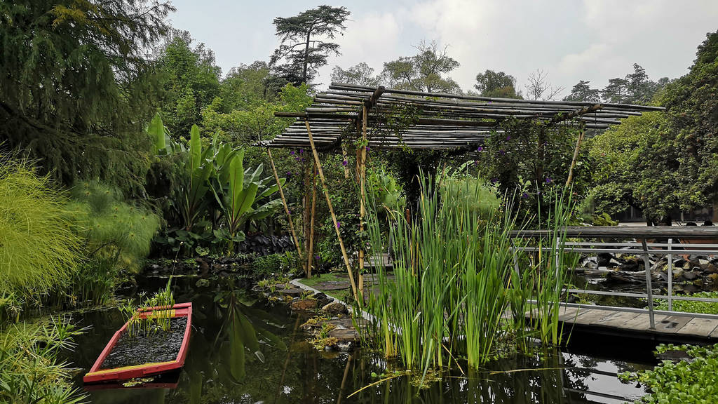 Jardín Botánico de Chapultepec | Things to do in Miguel Hidalgo, Mexico ...
