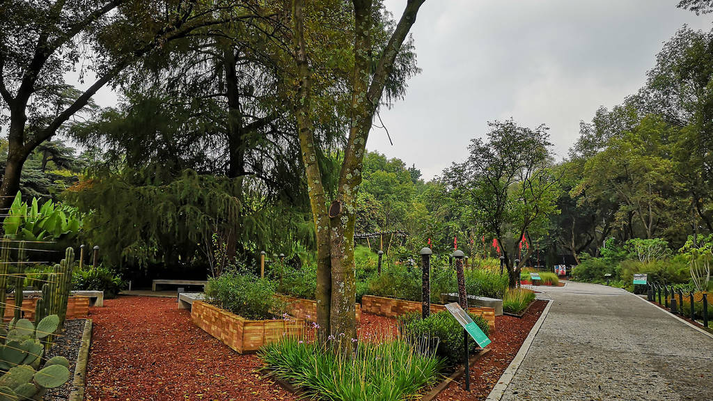Jardín Botánico de Chapultepec | Things to do in Miguel Hidalgo, Mexico ...