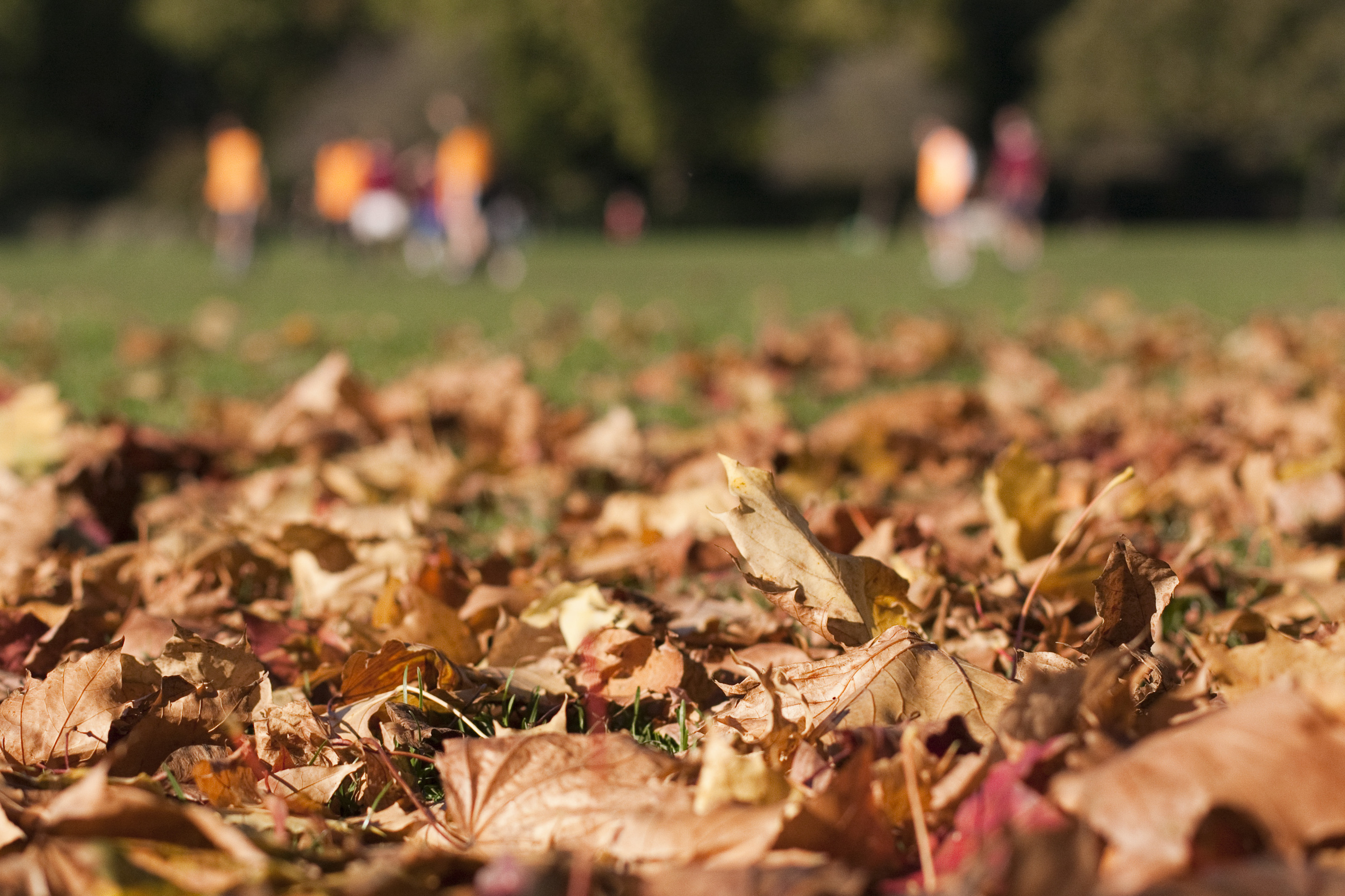 Best London Parks For Autumn Walks | 13 Beautiful Places For Autumnal Walks