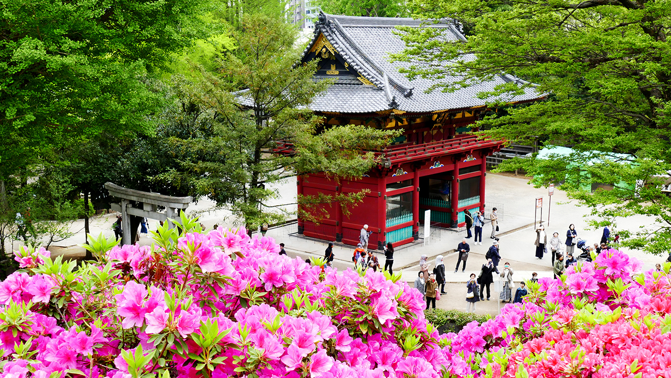 Yanaka Area Guide - Best Things to do in Yanaka | Time Out Tokyo