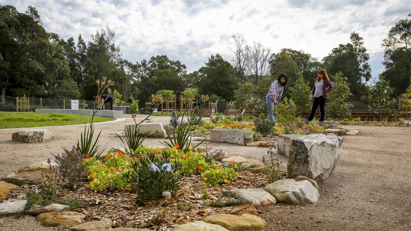 10 ways to live a more eco-friendly life in Sydney