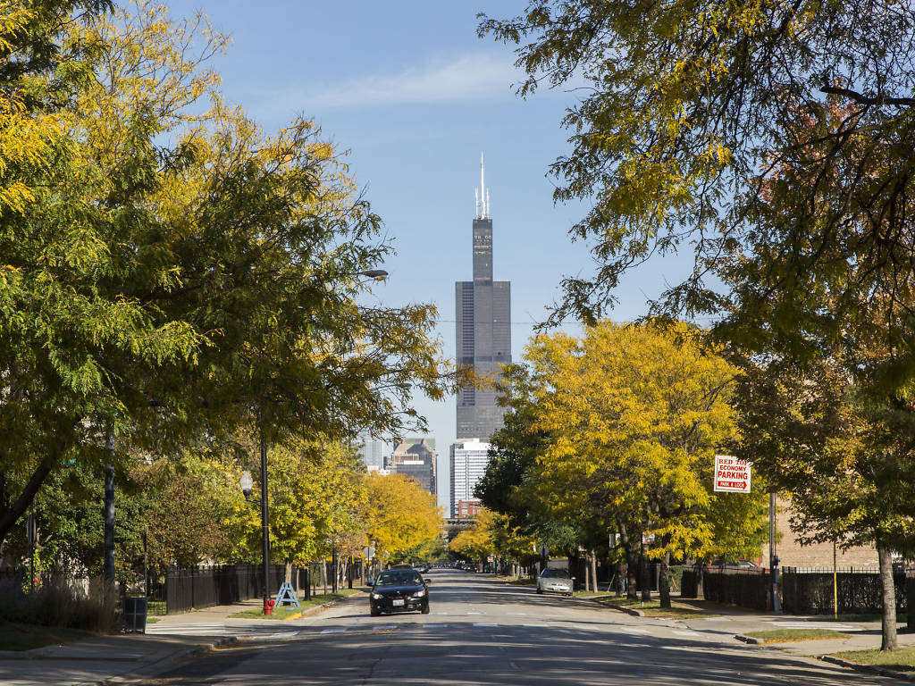 21 Best Places to See Fall Foliage in Chicago in 2022