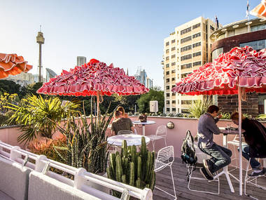 51 best rooftop bars in Sydney to grab a drink at