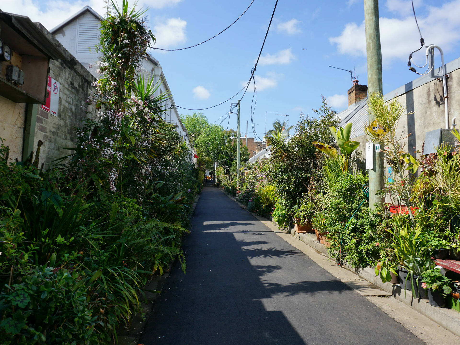 Sydney’s best laneways