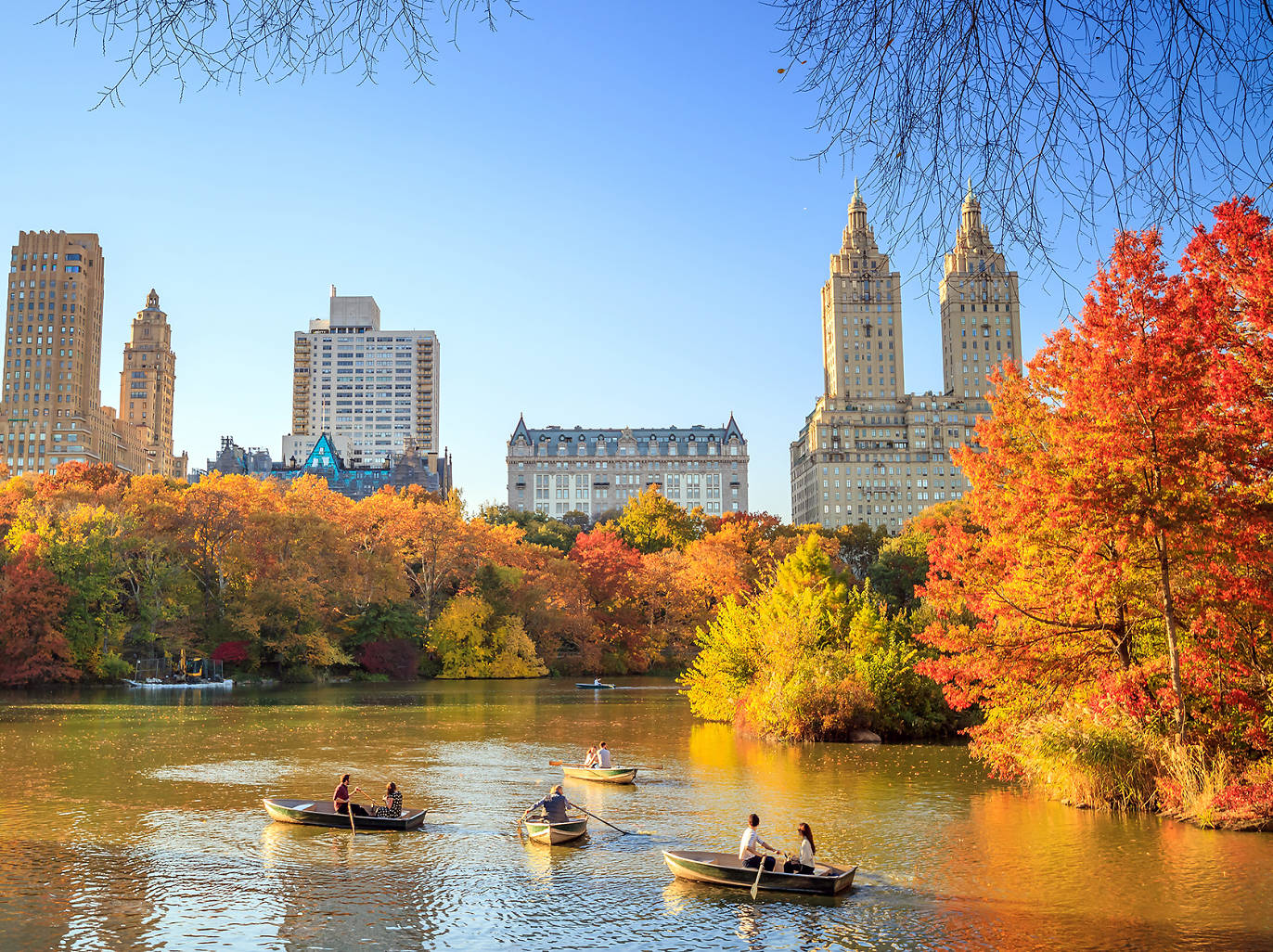 Fall Foliage in NYC: Best Spots To See It in 2025