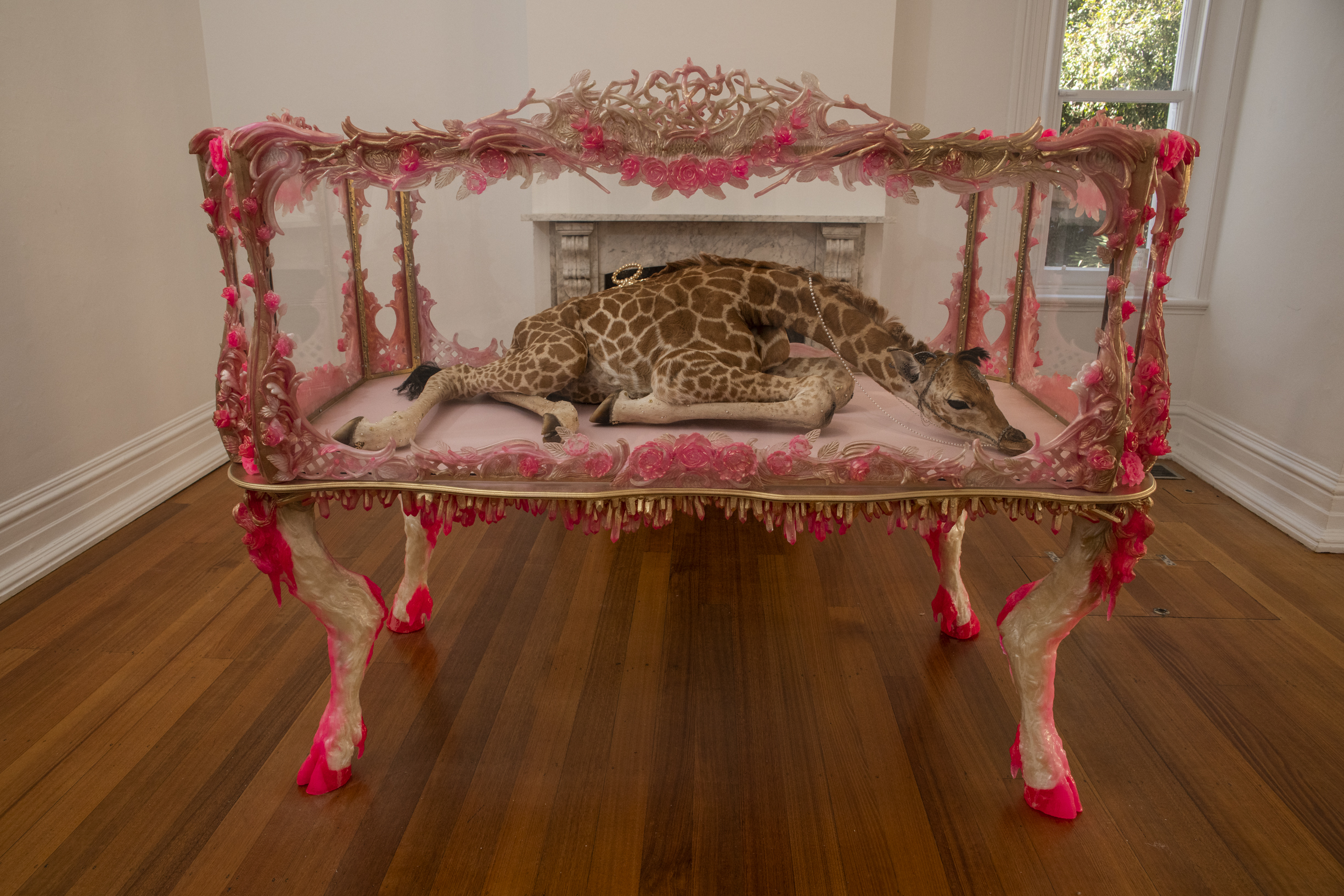 Julia deVille: Wholeness and the Implicit Order | Art in Melbourne