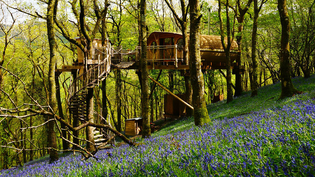 19 Incredible Treehouses to Book in the UK | Unique Stays UK