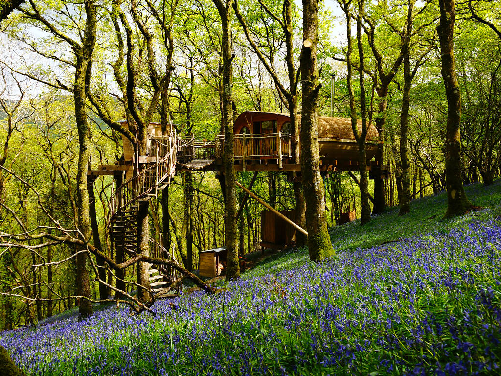 19 Incredible Treehouses to Book in the UK | Unique Stays UK