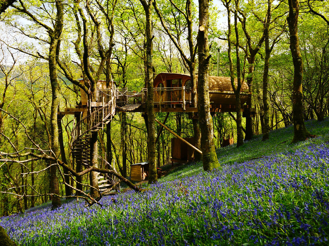 19 Incredible Treehouses to Book in the UK | Unique Stays UK