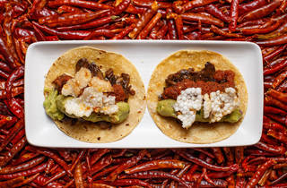 Bodega Underground | Restaurants in Melbourne, Melbourne