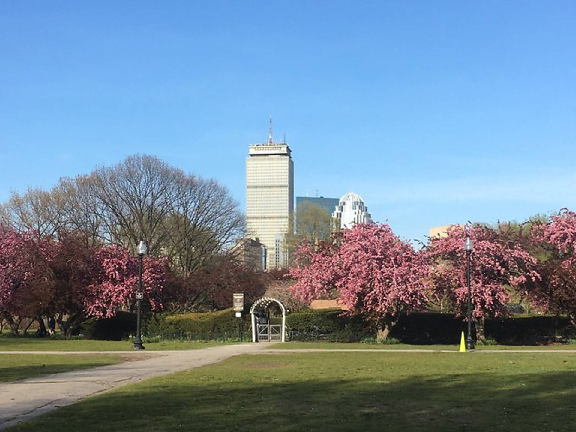 The Best Parks in Boston: 11 Green Spaces Perfect for Picnics