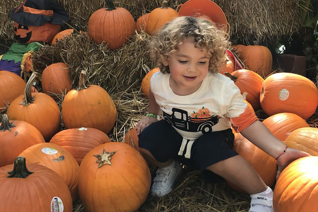 Pinto’s Farm | Things to do in Redlands, Miami