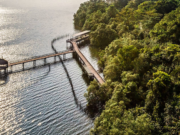 Observe the wildlife of Sungei Buloh Wetland Reserve via a live webcam