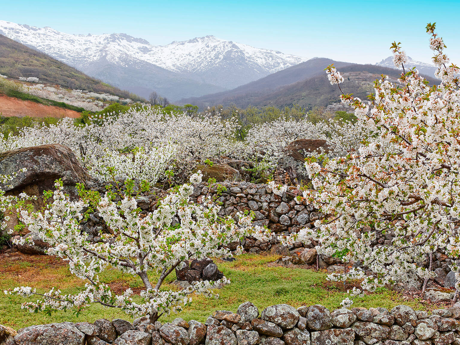 25 Best Things to Do in Spain